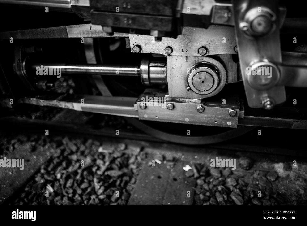 Lush forest landscape Black and White Stock Photos & Images - Alamy