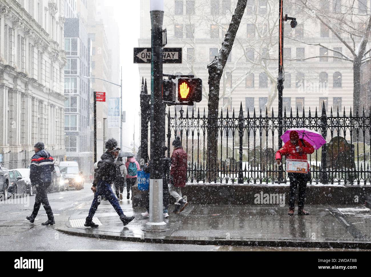 New York, United States. 19th Jan, 2024. Pedestrians hold umbrellas as ...