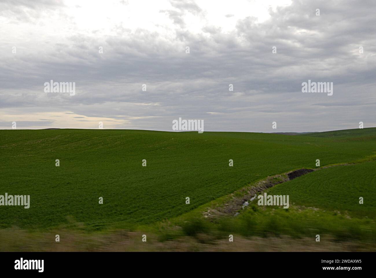 GENESEE/IDAHO /USA-Farmland srounding genesee in idaho states 25 May ...