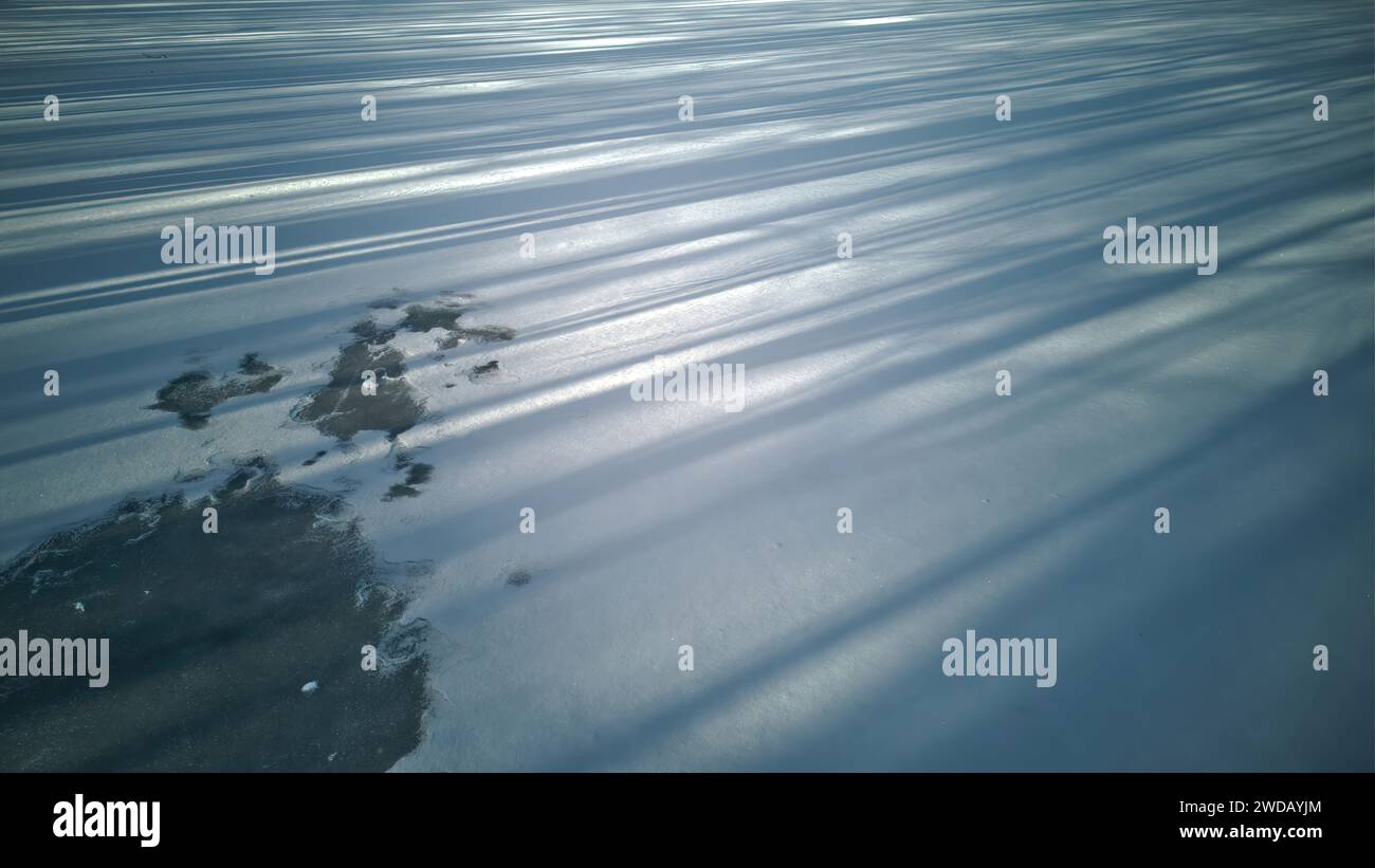 Snowdrift background with shadow of trees, tree shadows lie on the ice ...