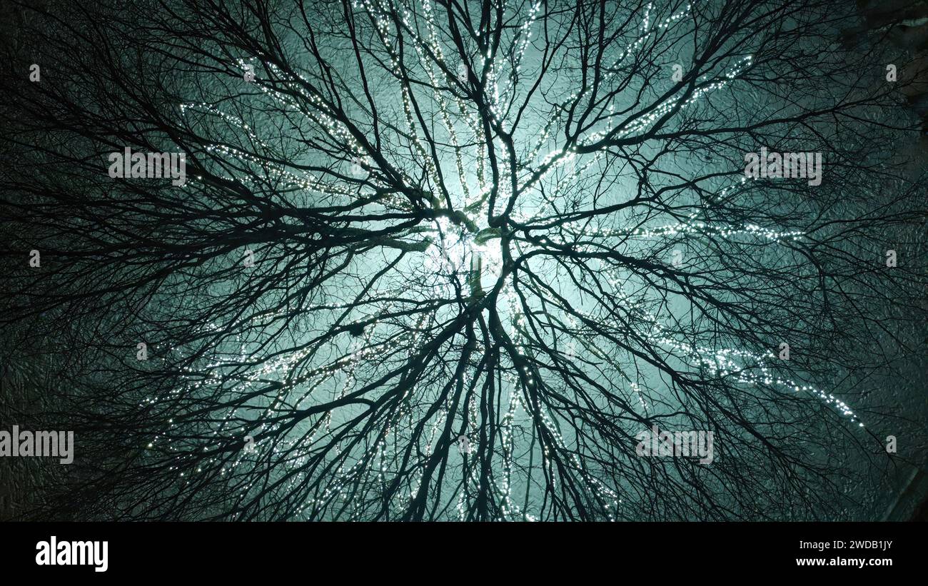 Aerial photo of a snow-covered tree in a park illuminated by a white ...