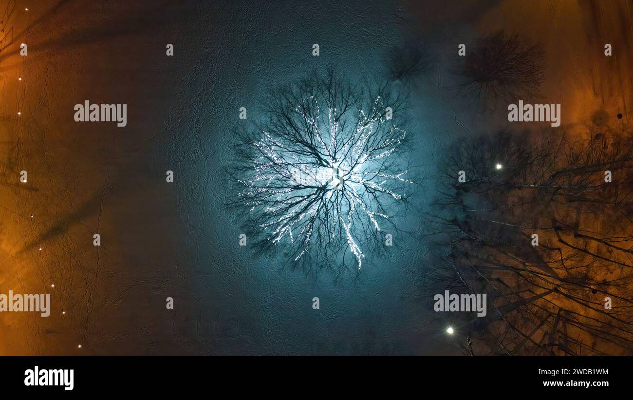 Aerial photo of a snow-covered tree in a park illuminated by a white ...