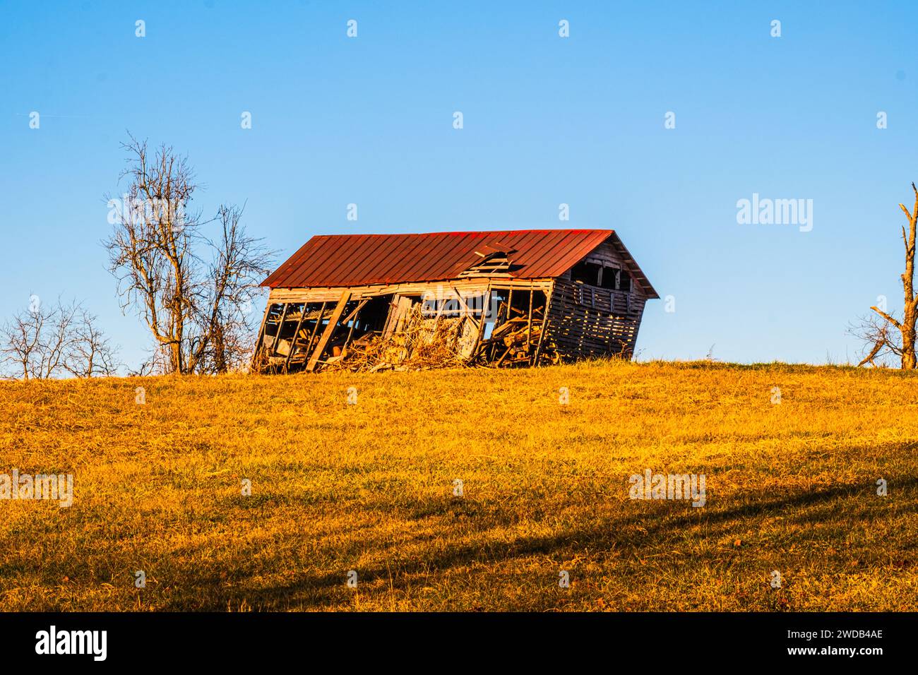 Abandoned Barn in Tennessee Stock Photo - Alamy