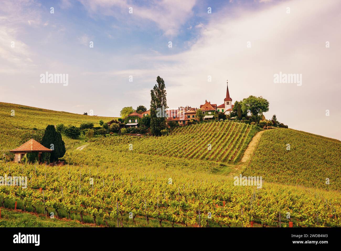 Small medieval town on the top of the hill between Lavaux vineyards ...