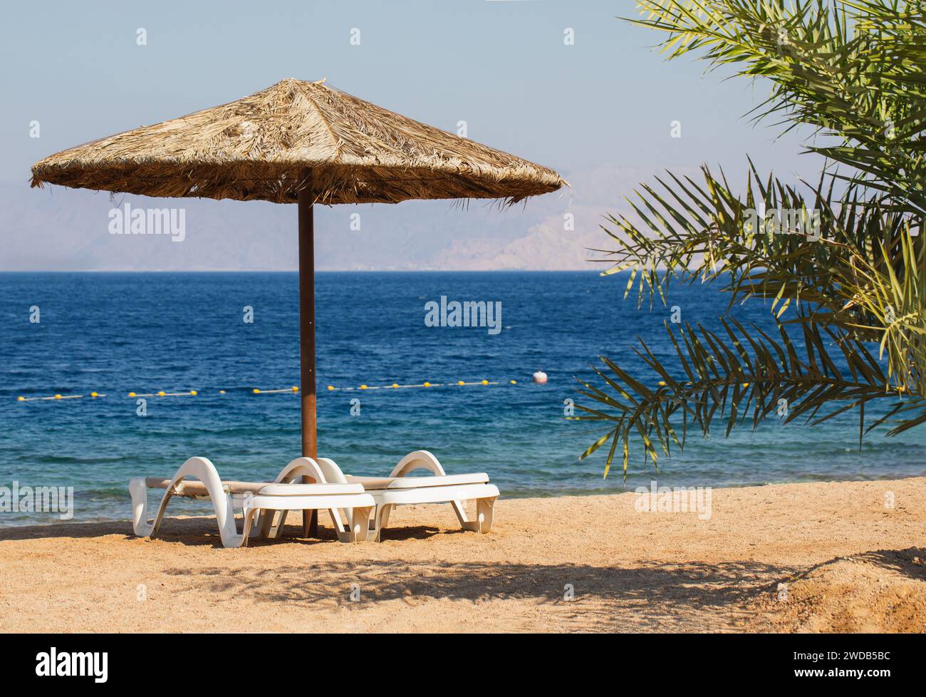 Beach of the Red Sea in Tala Bay, Aqaba, Jordan Stock Photo - Alamy