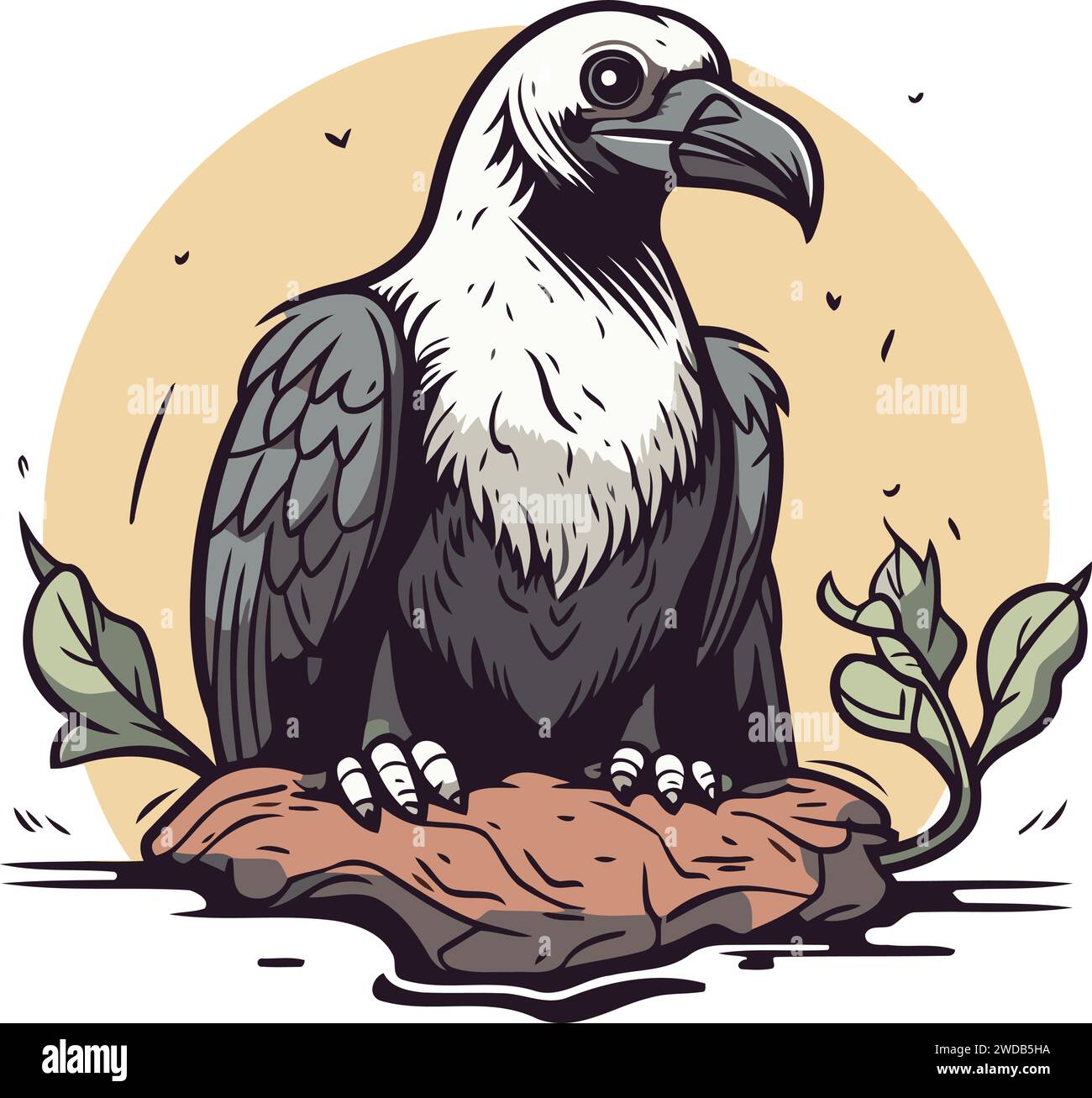 Eagles rock Stock Vector Images - Alamy