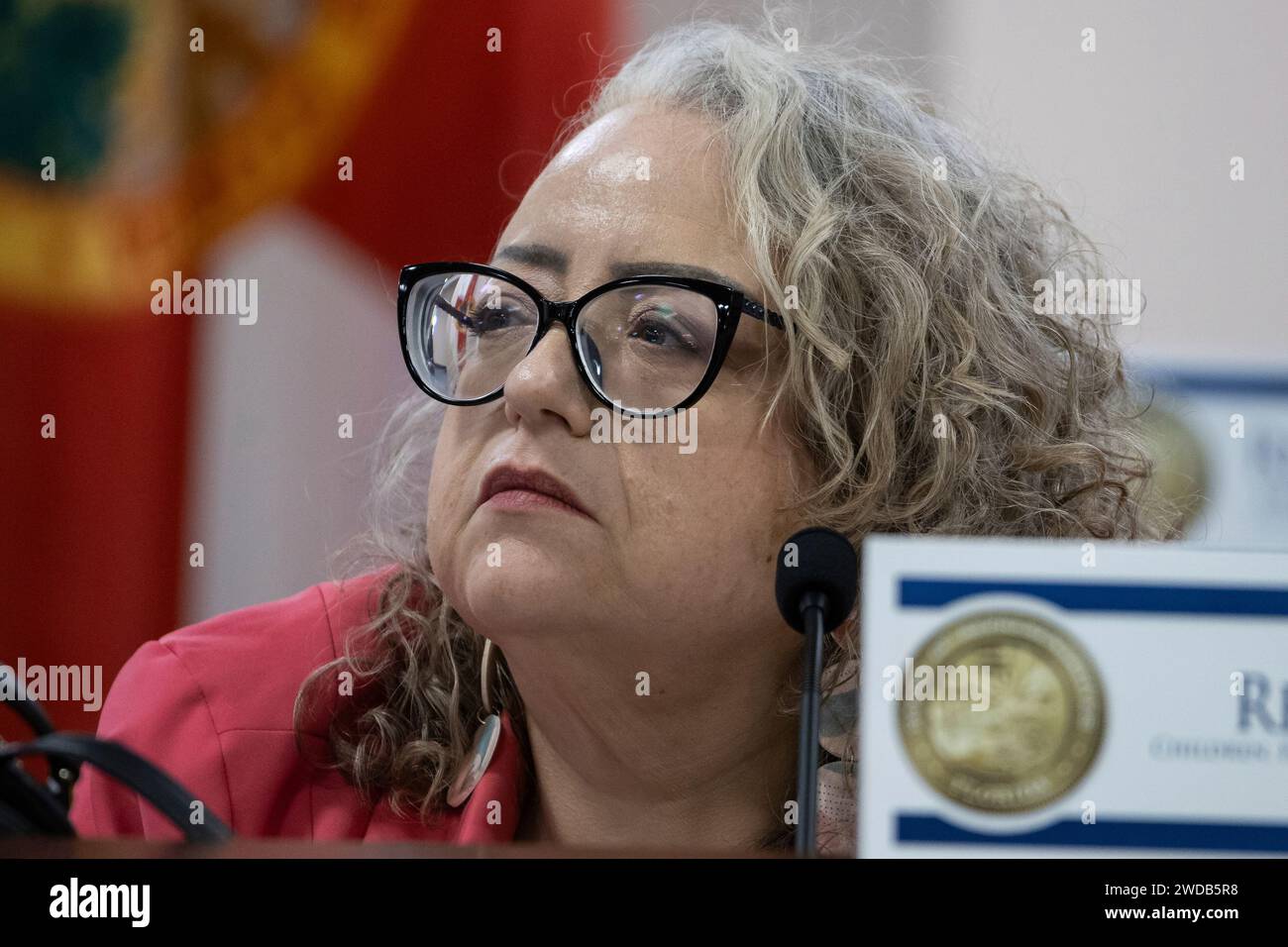 Florida State Rep. Jennifer "Rita" Harris is seen during a hearing at ...