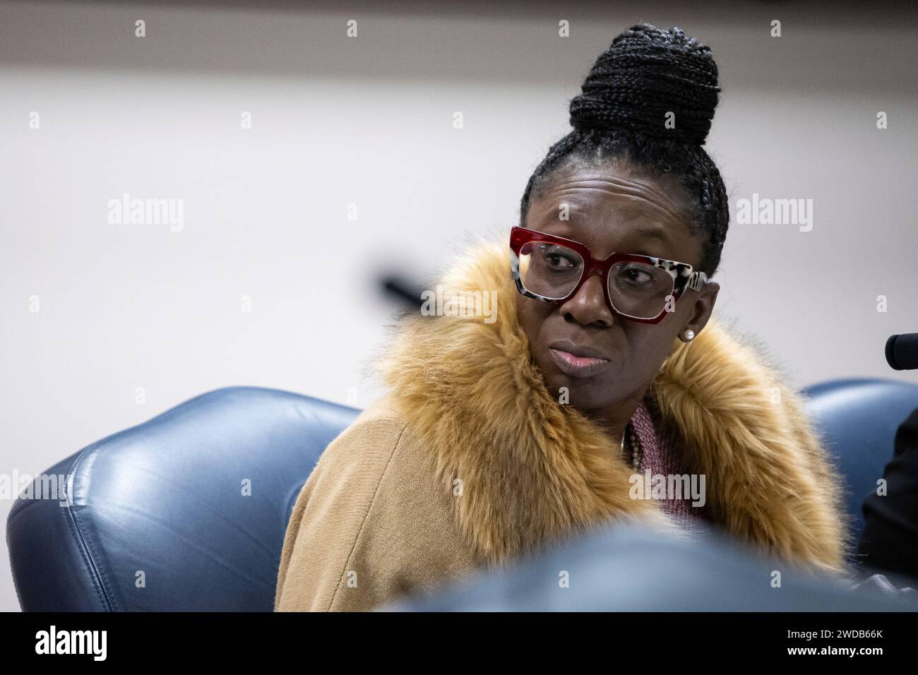 Florida State Rep. Felicia Simone Robinson is seen during a hearing at ...