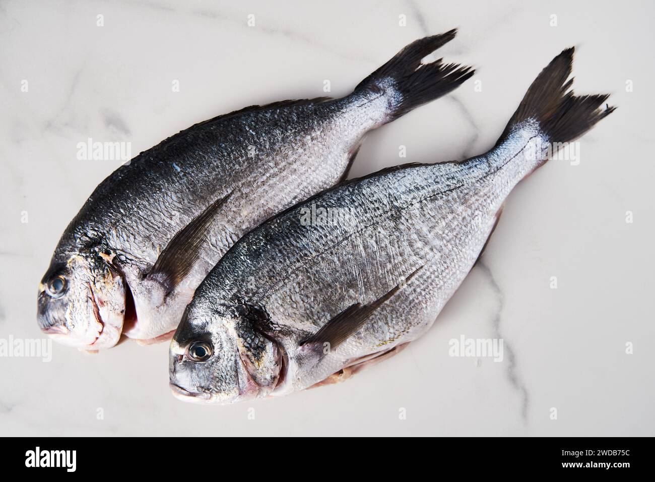 Two raw and fresh dorado fish on white marble background. Minimalistic ...