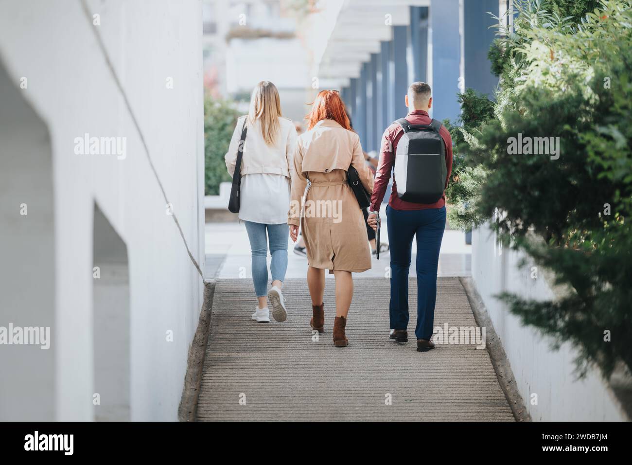 Successful Brainstorming and Creative Collaboration in a Bustling Urban ...