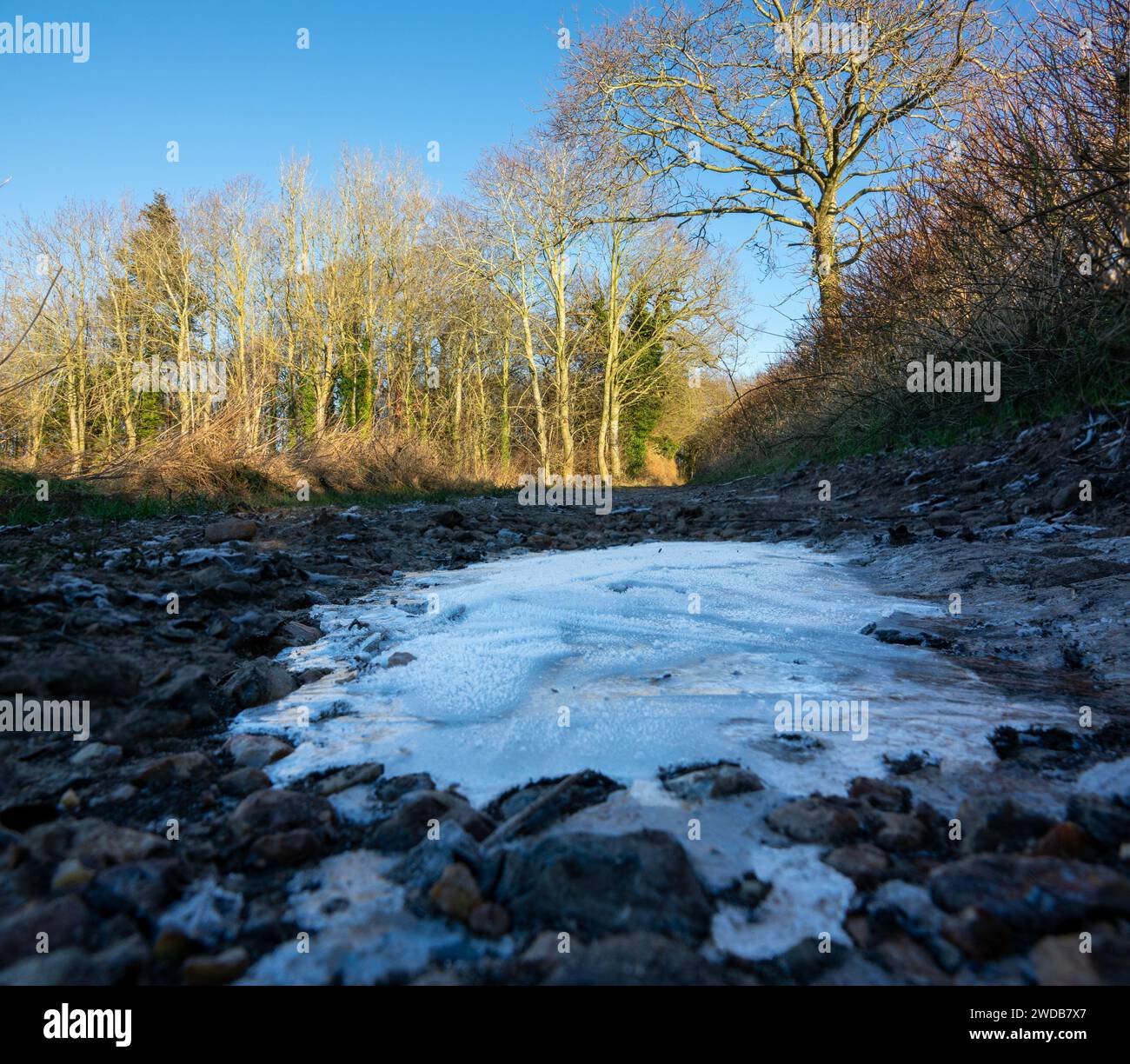Walk norfolk uk winter hi-res stock photography and images - Alamy