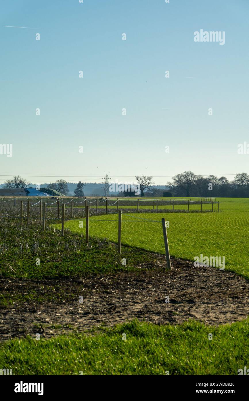 The Hornsea Three onshore cable corridor Stock Photo - Alamy