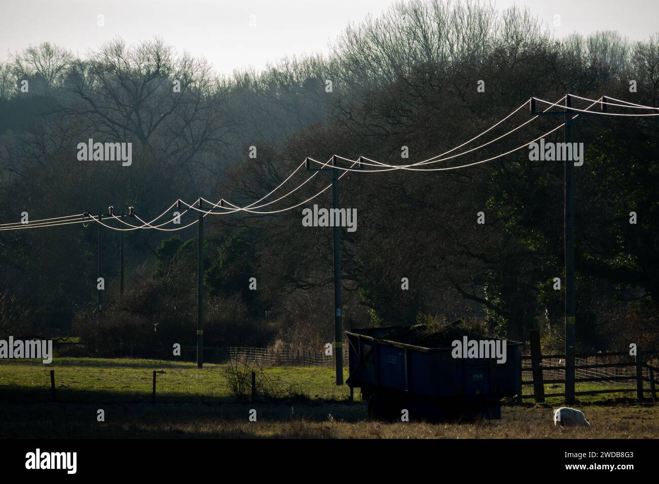 Powerline across field hi-res stock photography and images - Alamy