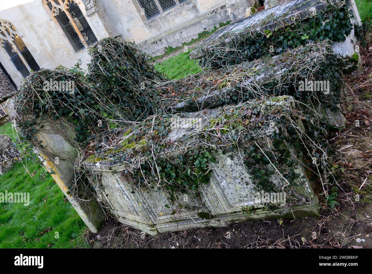 Graveyard tomb covered in Ivy Stock Photo - Alamy