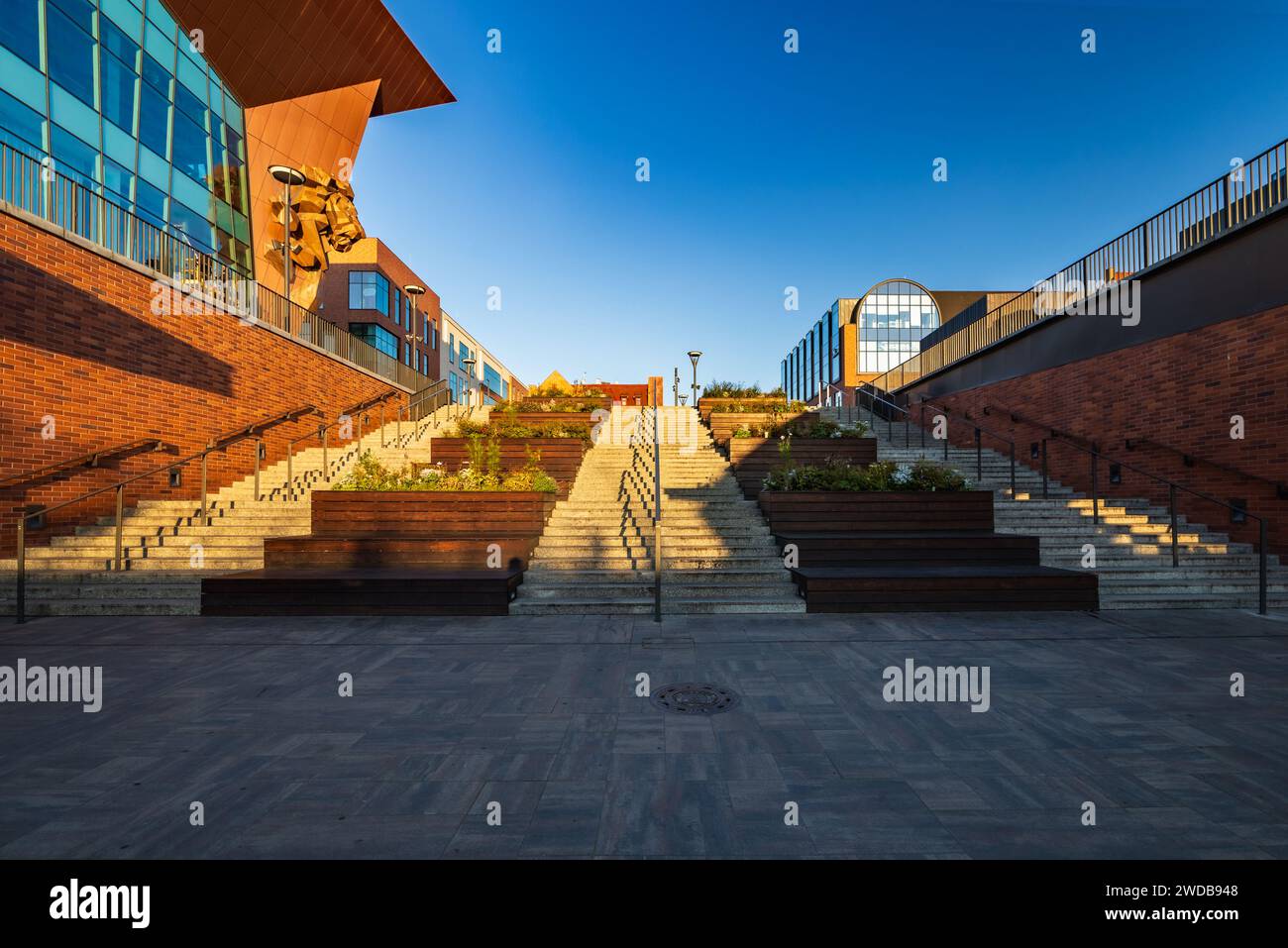 Sienna targ hi-res stock photography and images - Alamy