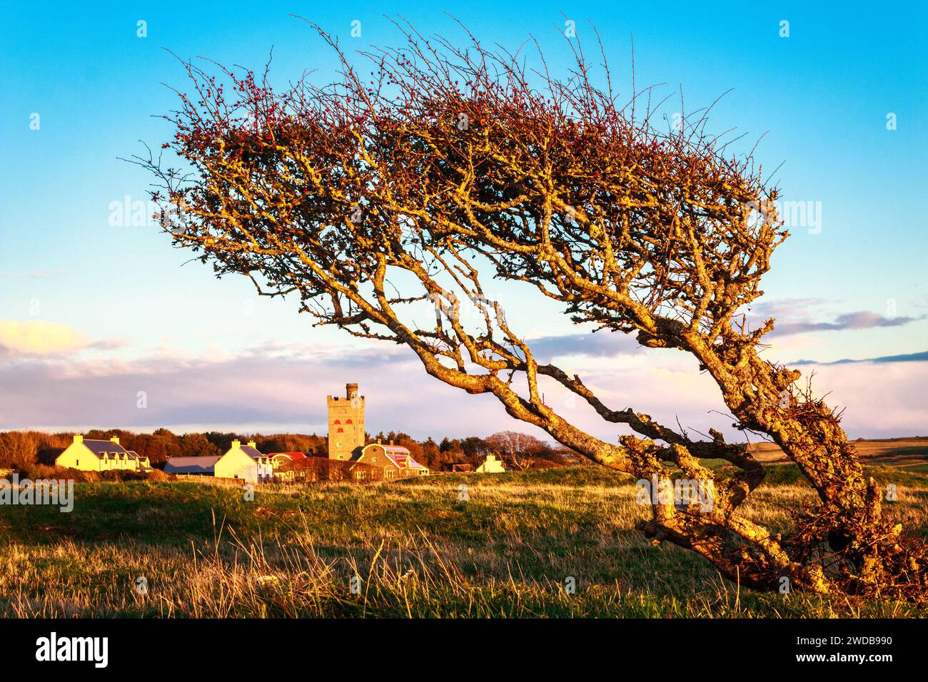 Prevailing hi-res stock photography and images - Alamy