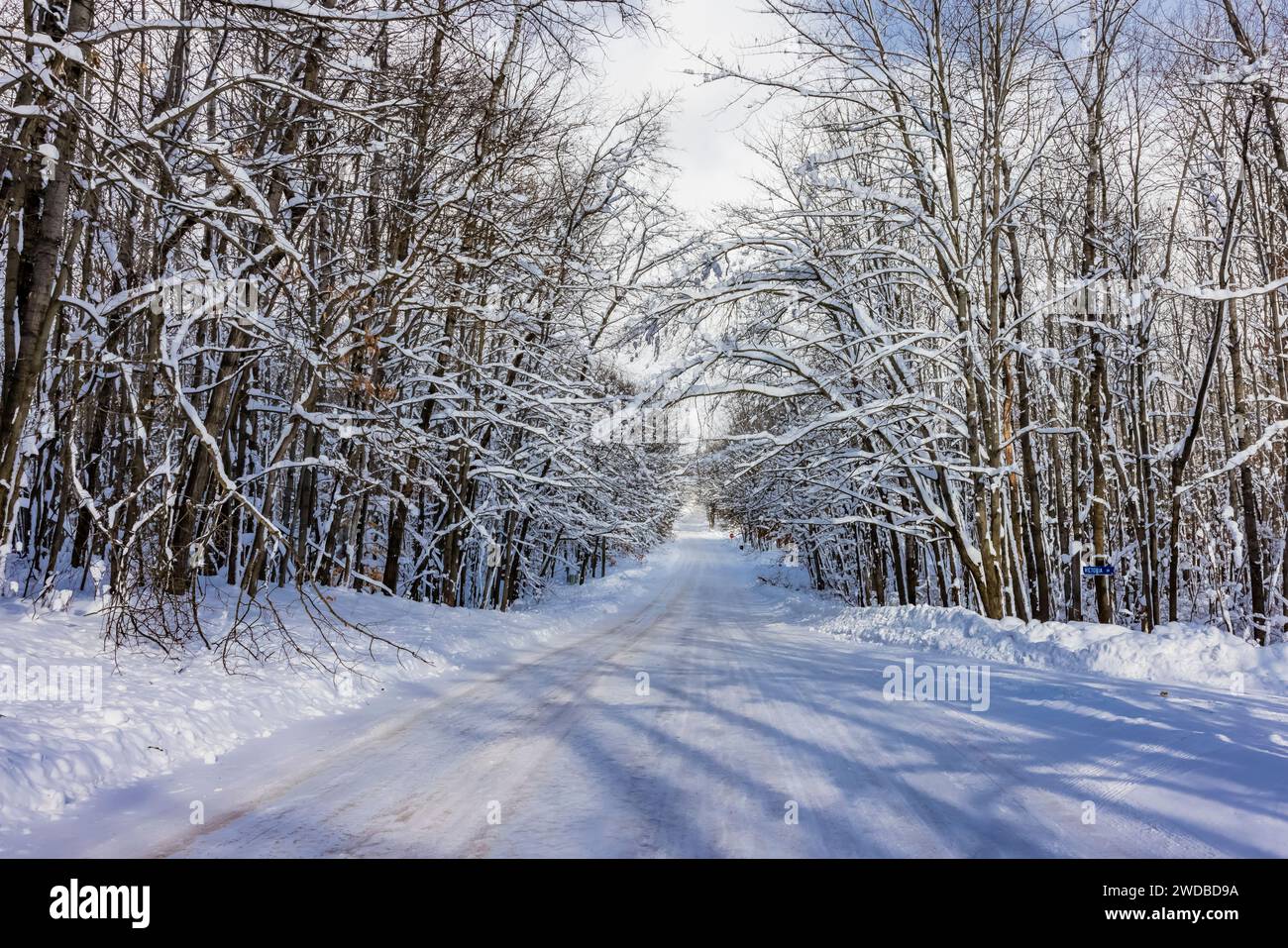 Country road after a snowstorm in Mecosta County, Michigan, USA Stock ...