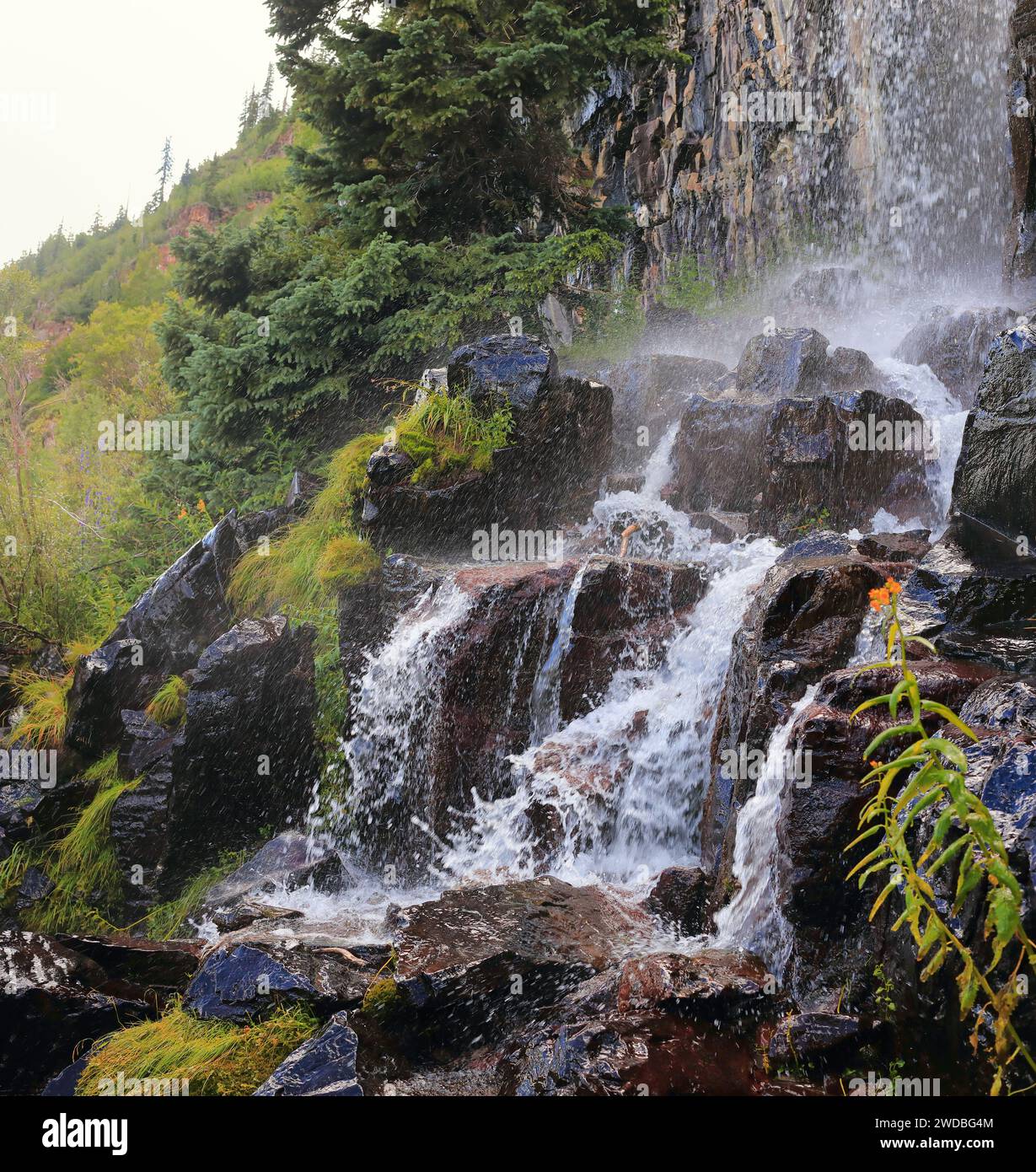 Water chutes hi-res stock photography and images - Alamy