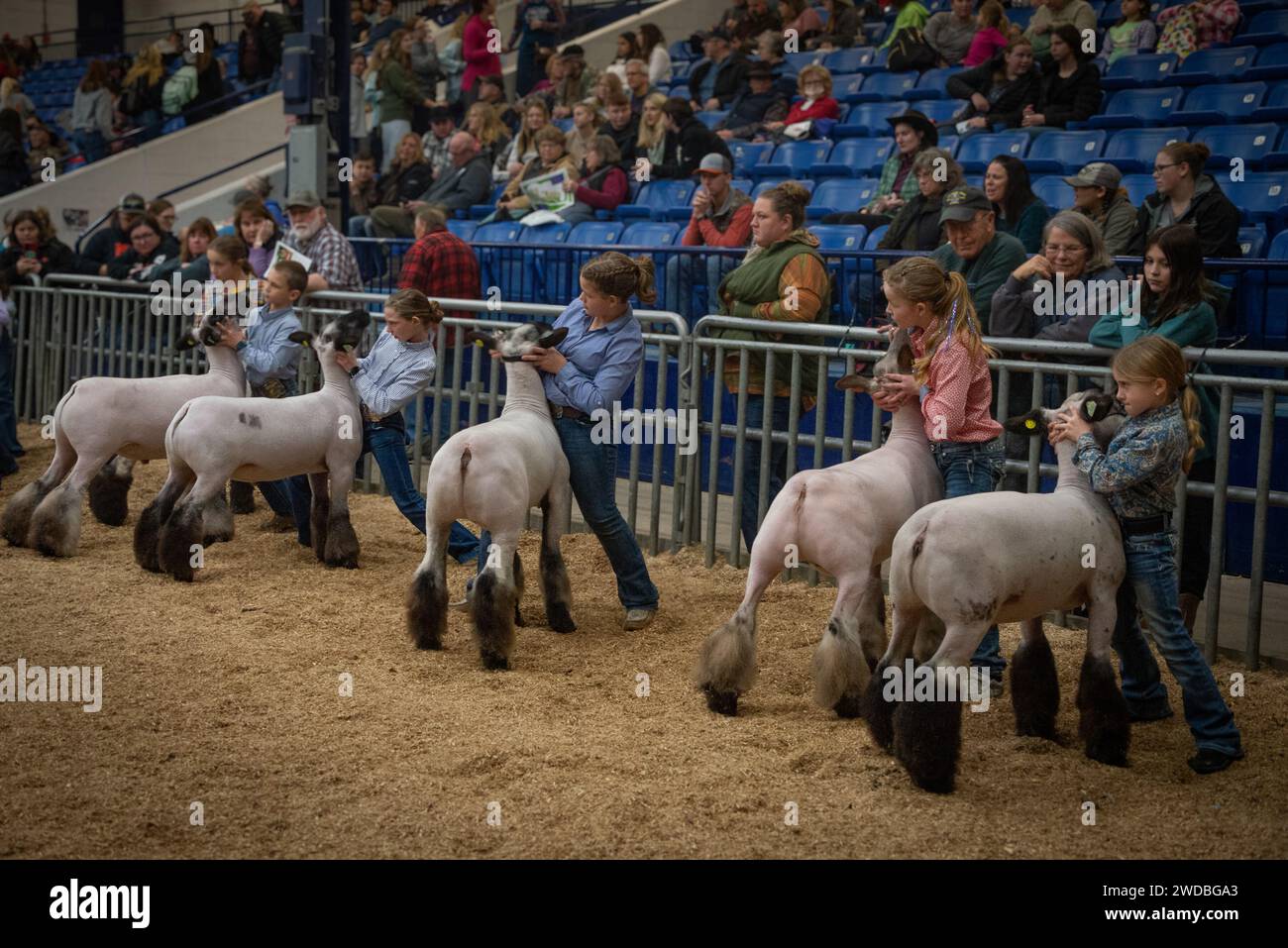 Pennsylvania Farm Show. Harrisburg Stock Photo - Alamy