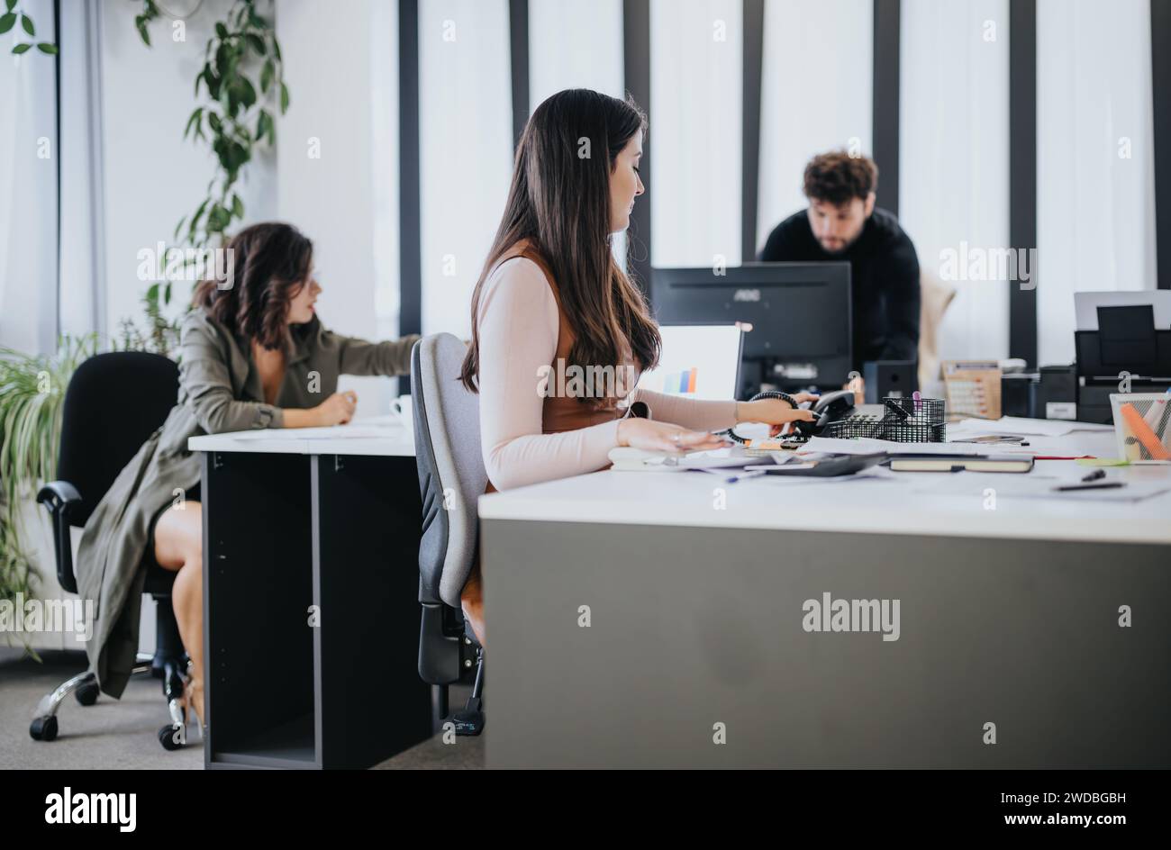 Focused professionals in modern office setting, teamwork and ...