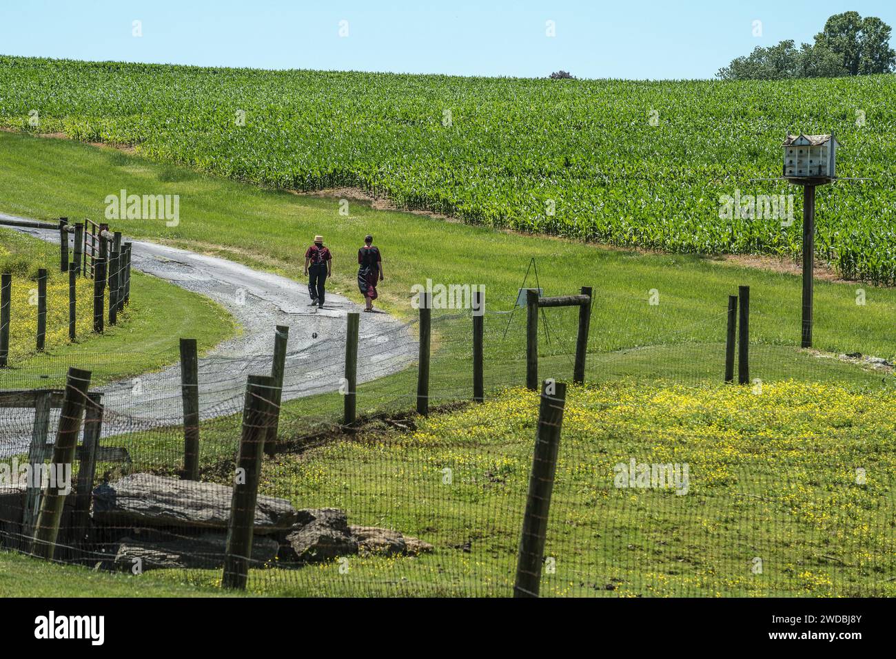 Actual farm location, Amish country, Lancaster, PA. where the movie ...