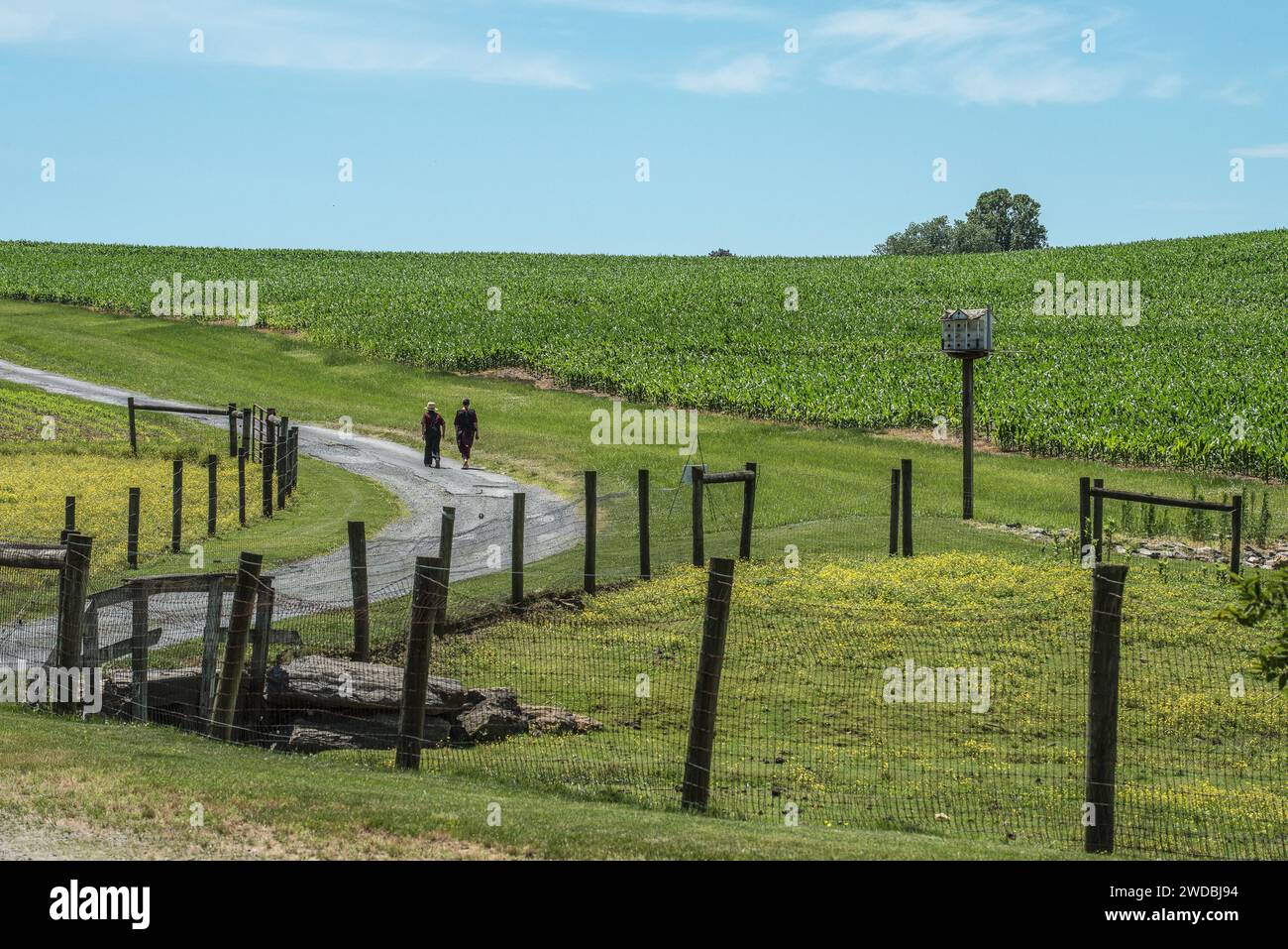 Actual farm location, Amish country, Lancaster, PA. where the movie ...