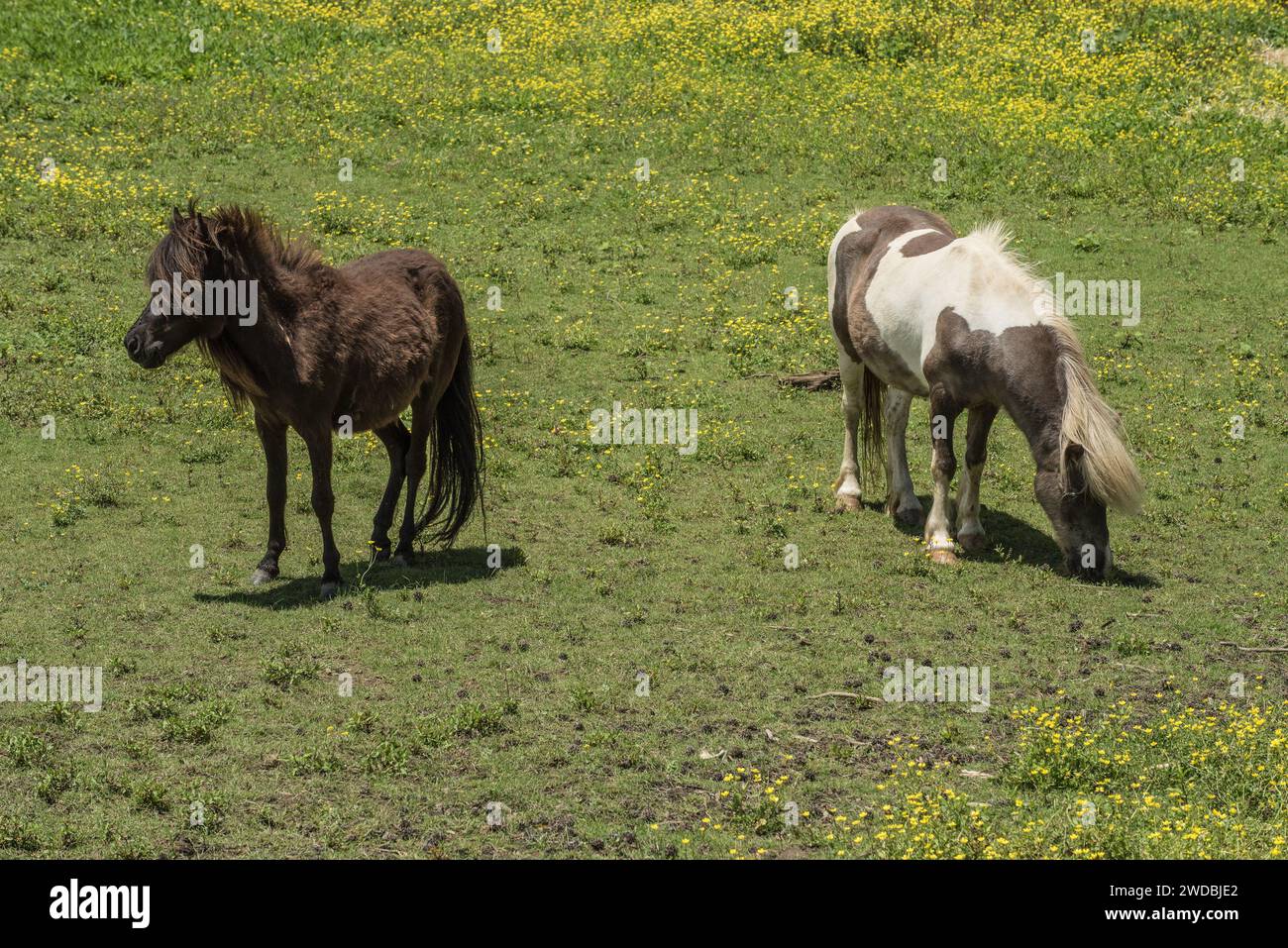 Actual farm location, Amish country, Lancaster, PA. where the movie ...