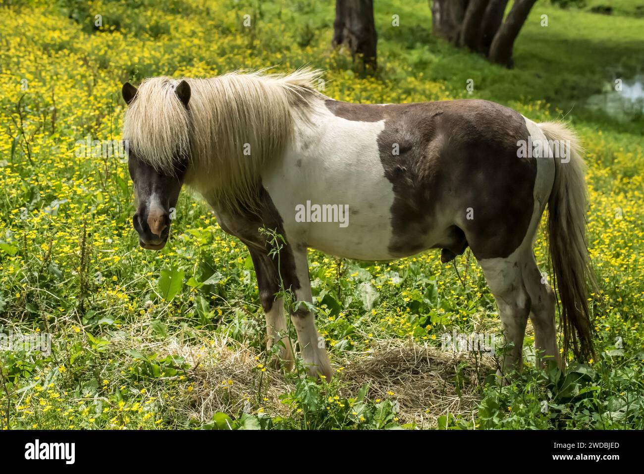 Actual farm location, Amish country, Lancaster, PA. where the movie ...
