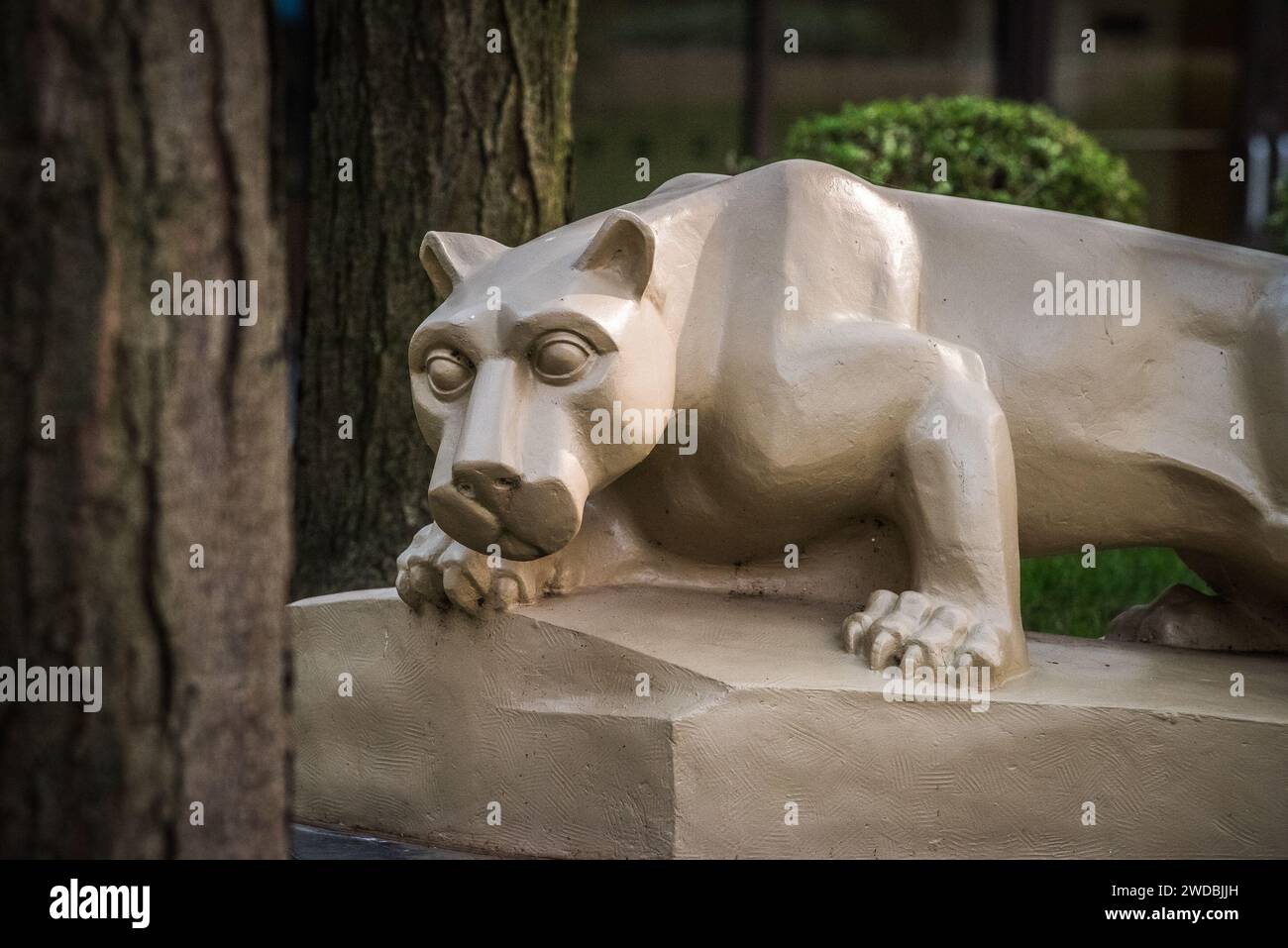 Penn state football win hi-res stock photography and images - Alamy