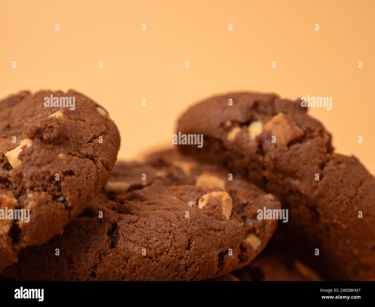 Chocolatey, rich cookies with contrasting white chocolate chips on an ...