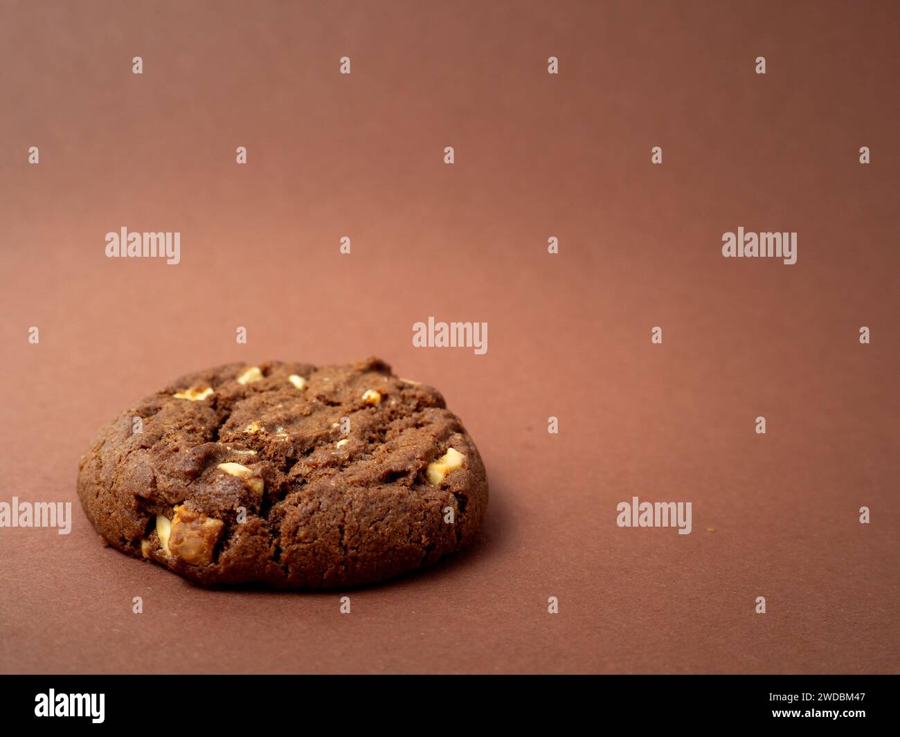 Chocolatey, rich cookies with contrasting white chocolate chips on a ...