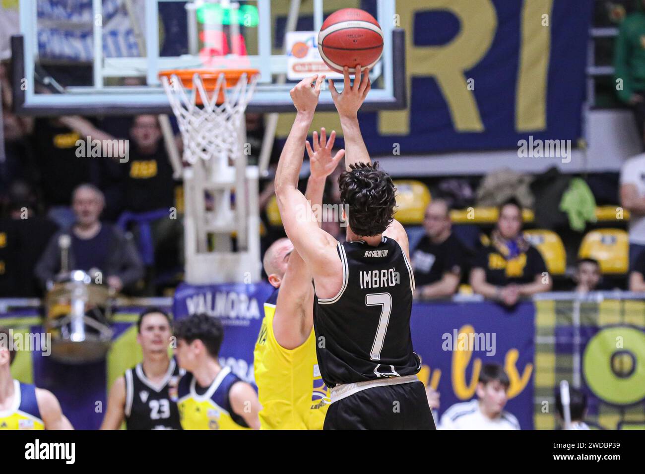 Turin, Italy. 19th Jan, 2024. #7 Matteo Imbruo (Trapani Shark) during ...