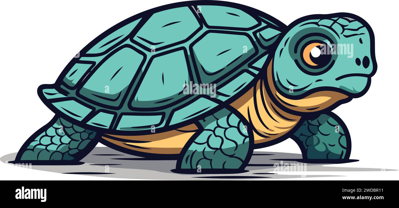 Cartoon turtle on a white background. Vector illustration for your ...