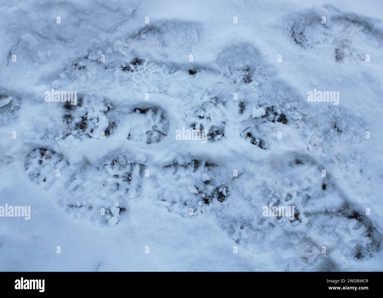 Footprints in a Thin Layer of Snow Stock Photo - Alamy