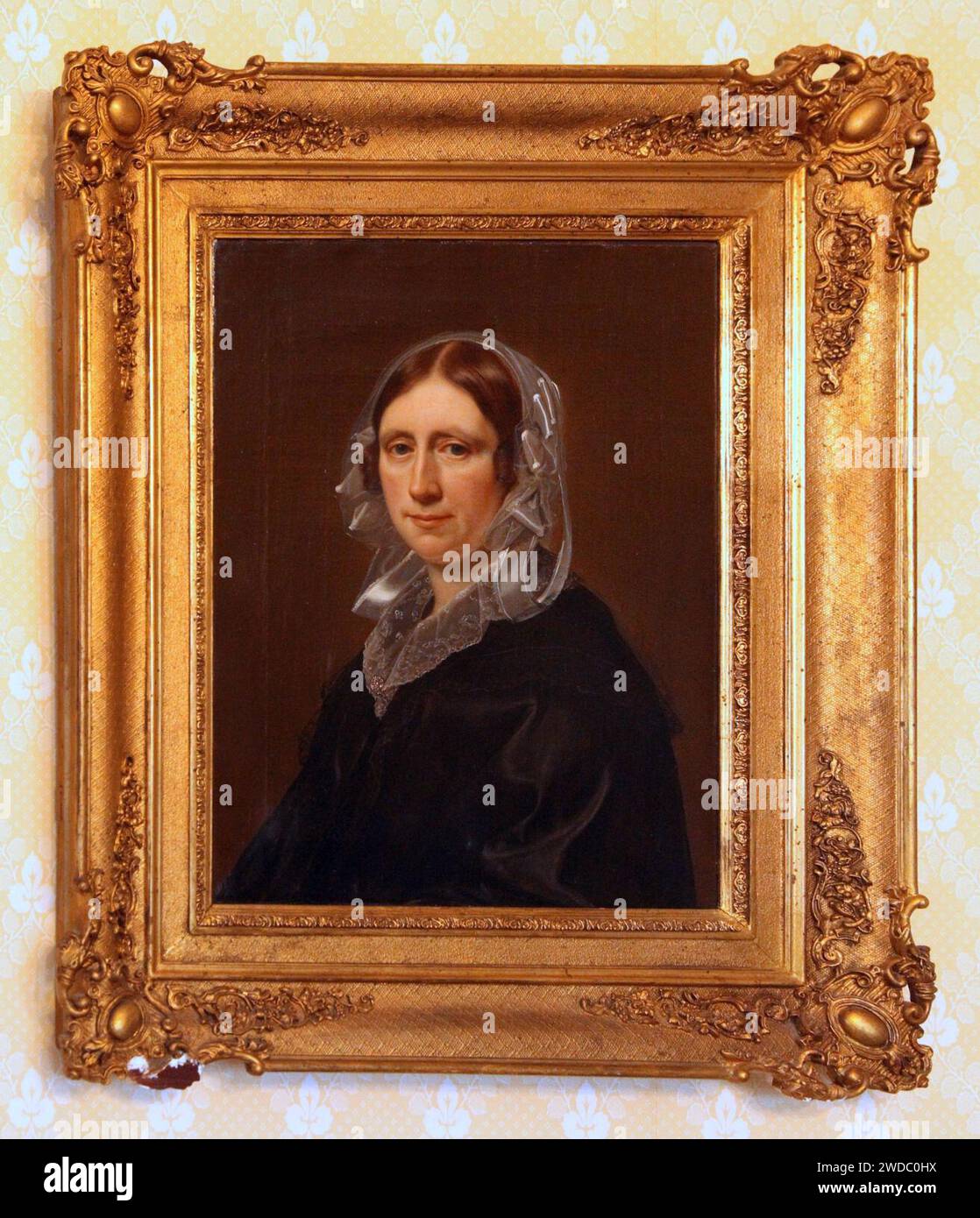 20220213 hi-res stock photography and images - Alamy