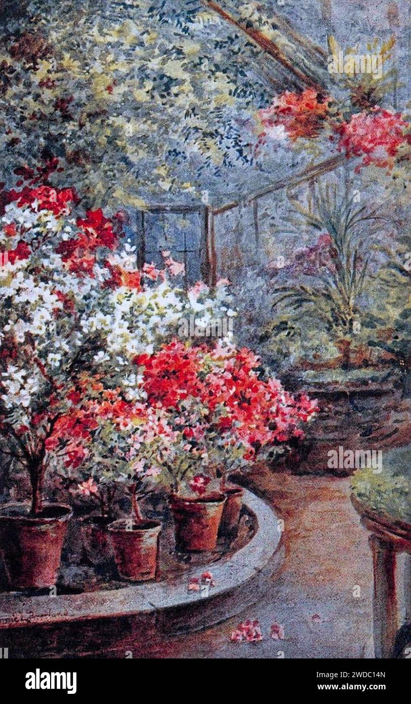 Annie L. Pressland Azaleas and Mimosa - Kew Gardens James Henderson ...