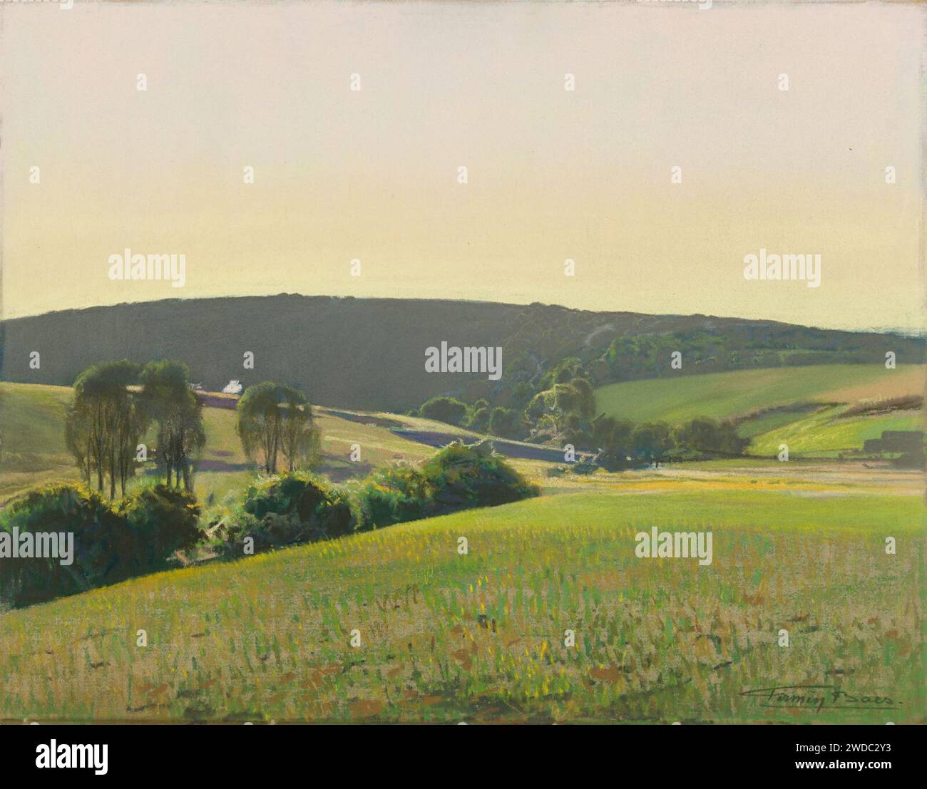 Firmin baes hi-res stock photography and images - Alamy
