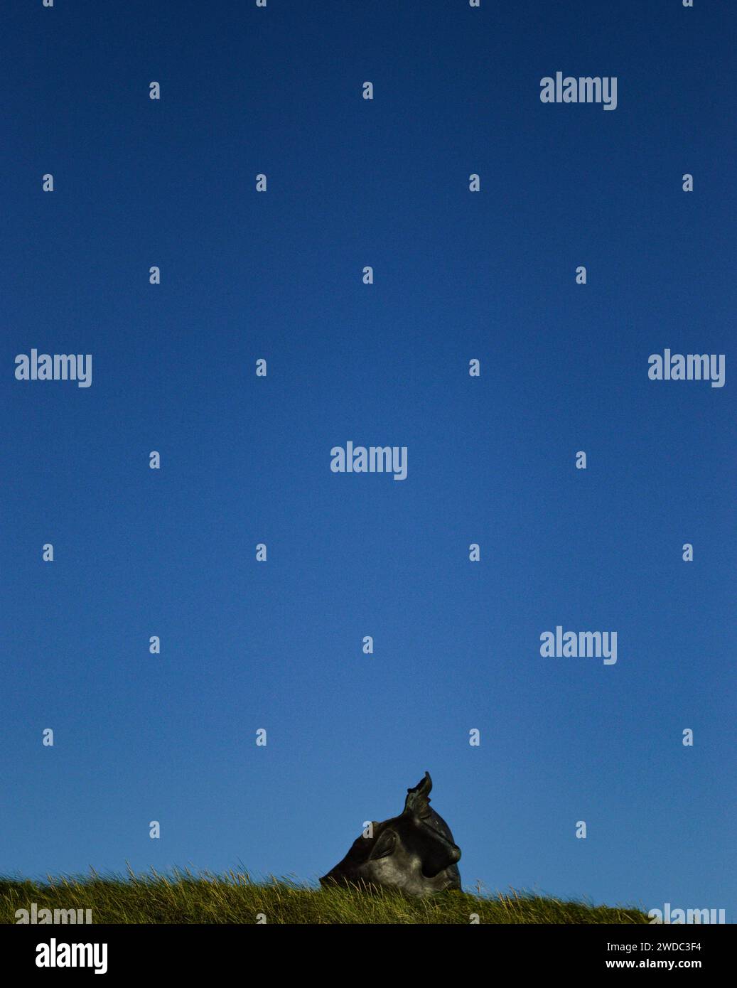 Head sculpture staring at the sea Stock Photo - Alamy