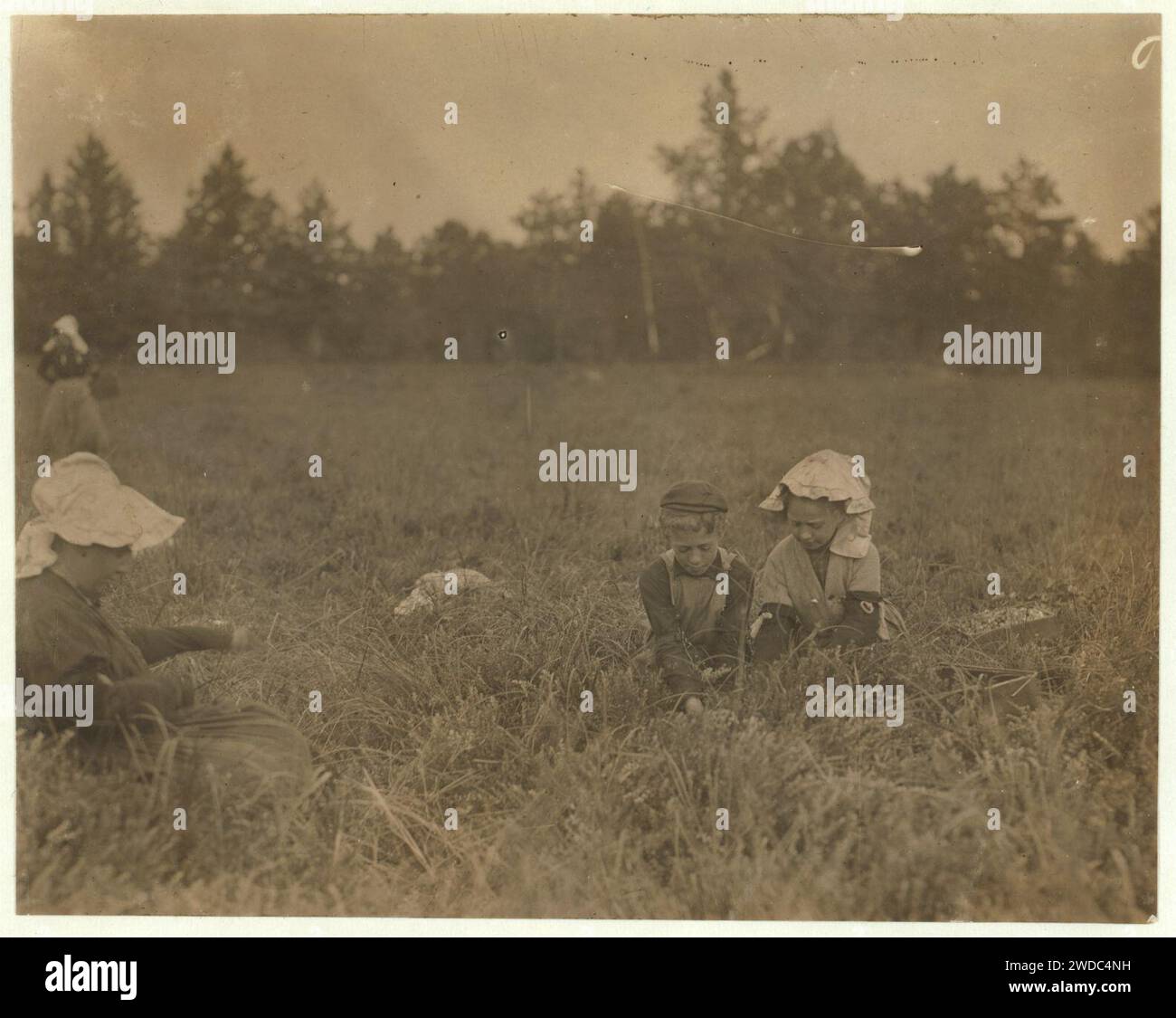 La Grossa family, 2 children and mother. Forsythe's Bog, Turkeytown ...