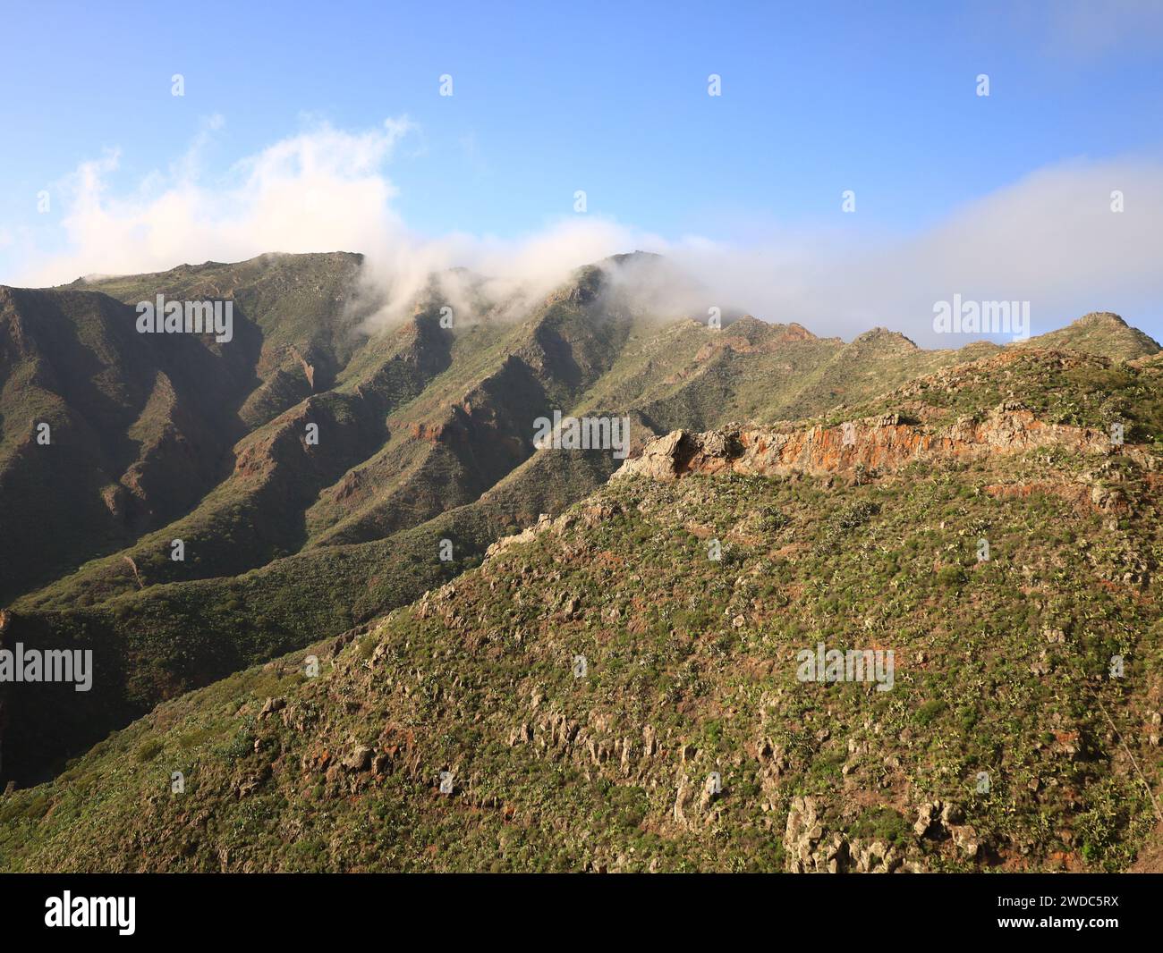 The Rural Park of Teno is located at the northwest end of the island of ...