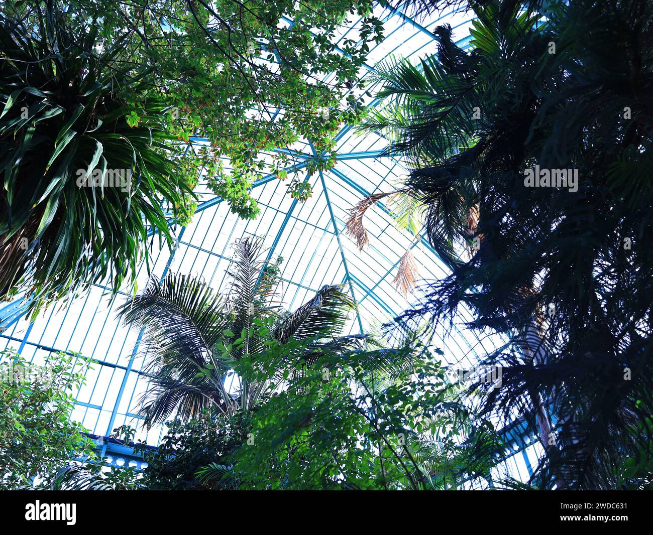 The Garden of the Greenhouses of Auteuil is a botanical garden set ...