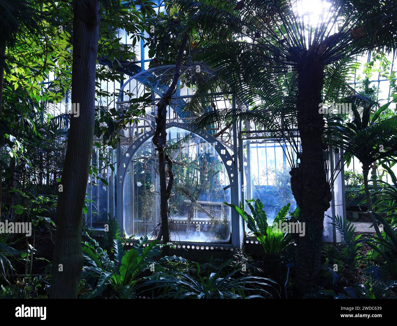 The Garden of the Greenhouses of Auteuil is a botanical garden set ...