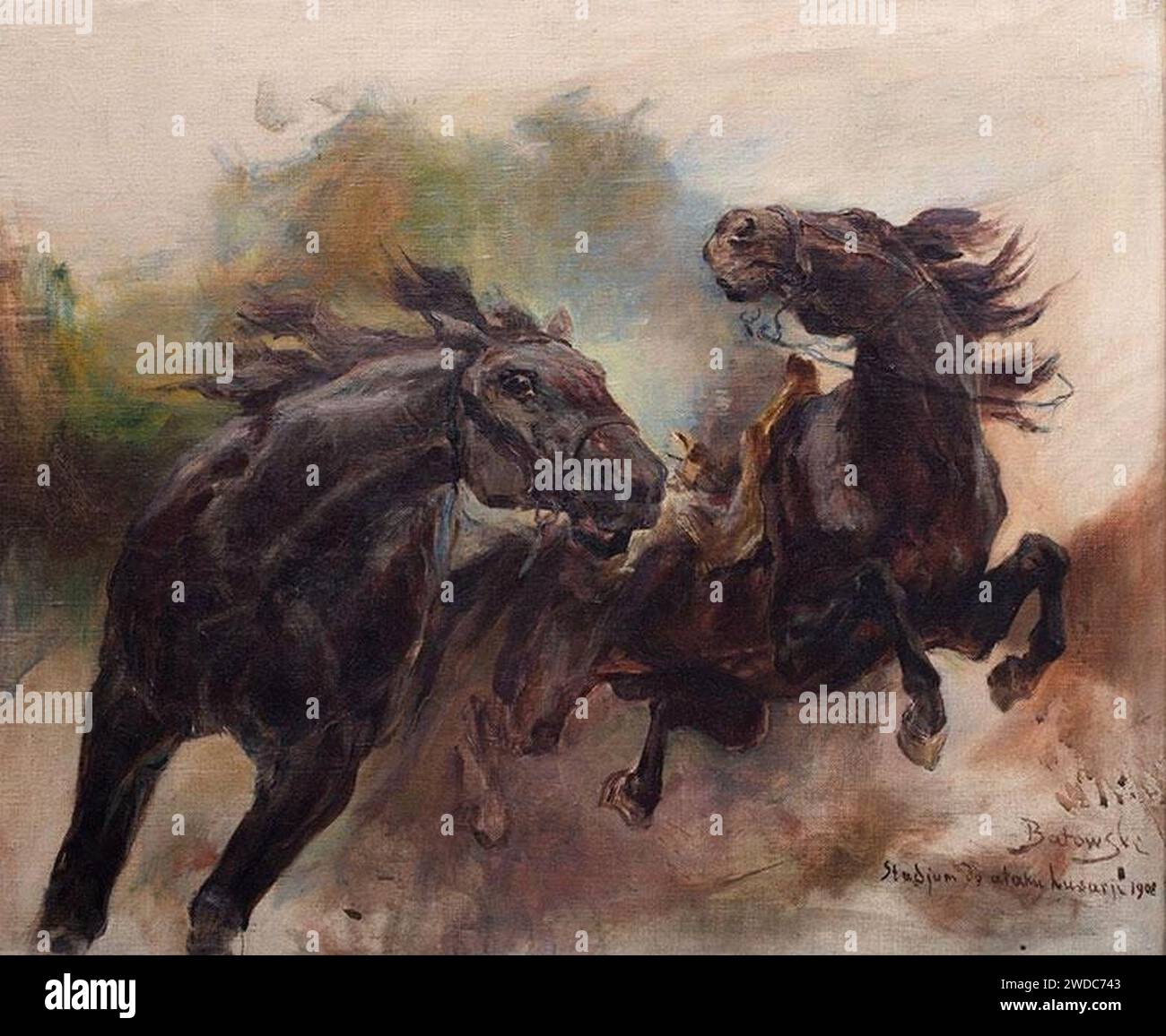 Batowski kaczor hi-res stock photography and images - Alamy