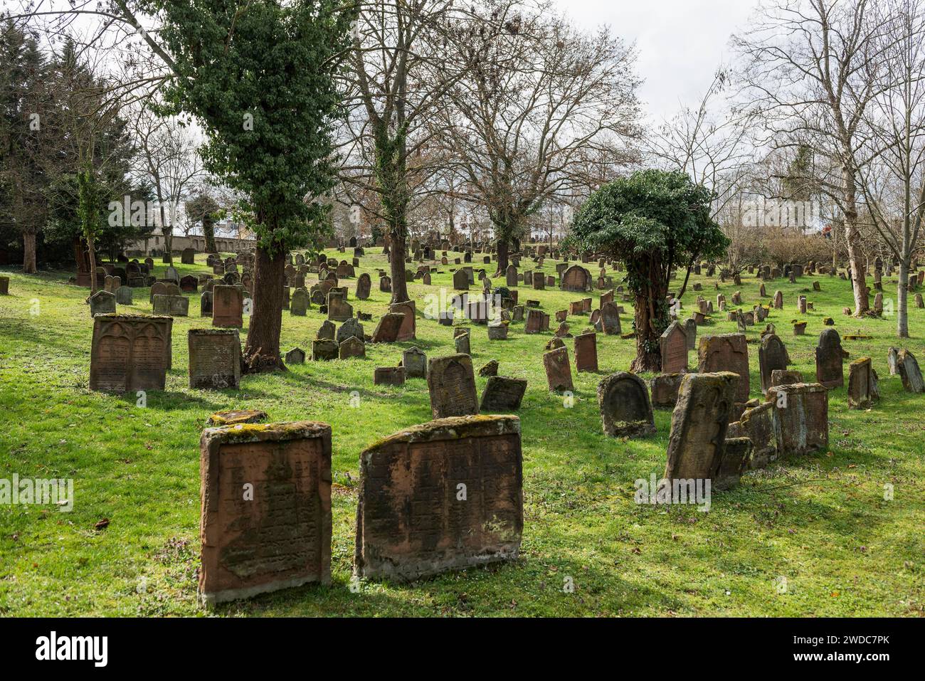 Jewish cemetery Heiliger Sand, Worms, Rhineland-Palatinate, Germany ...