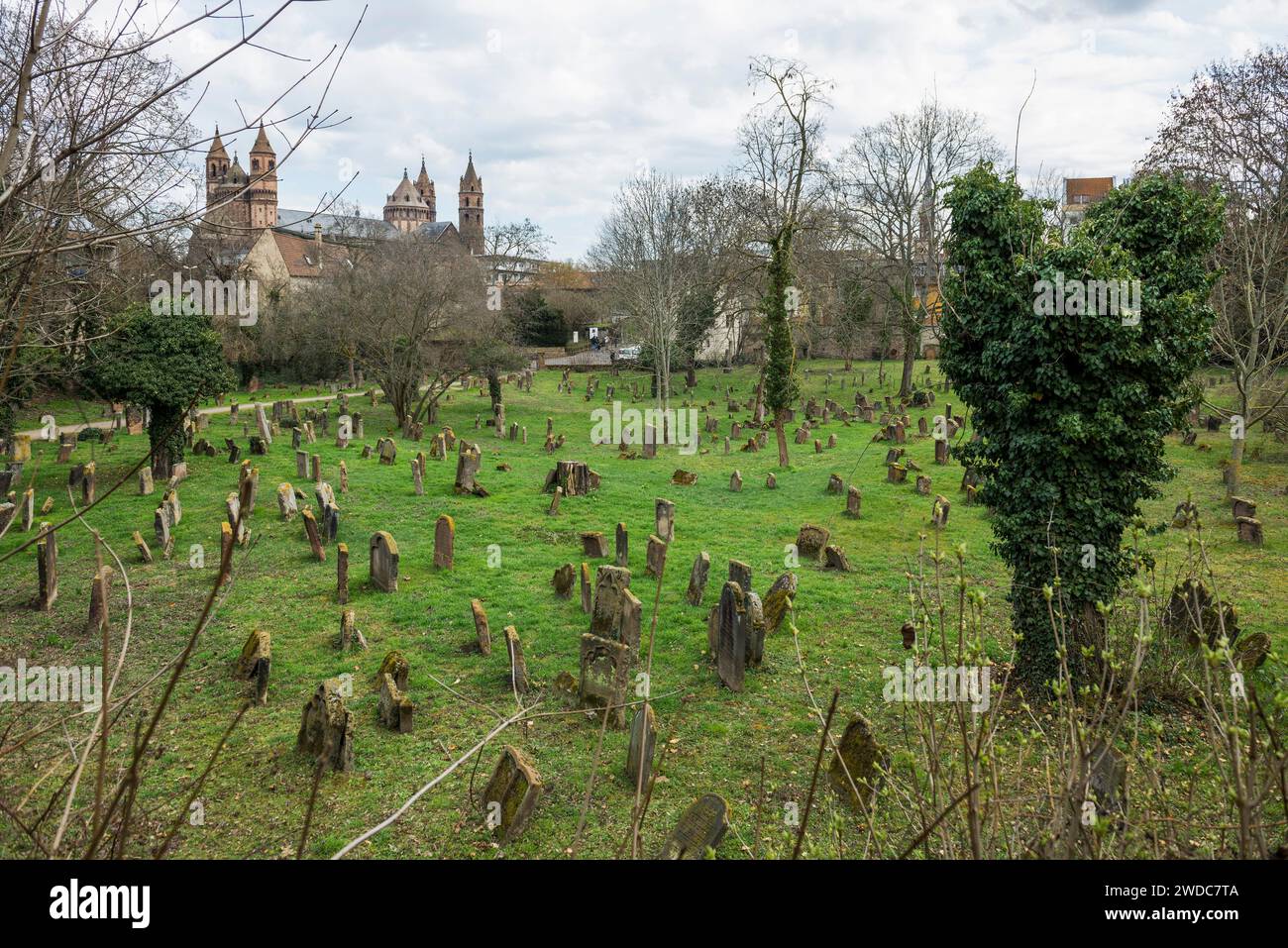 Jewish cemetery Heiliger Sand and St Peter's Cathedral, Kaiserdom ...
