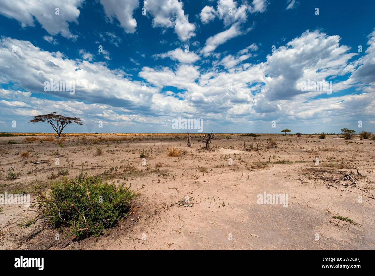 Dry landscape, drought, heat, climate, climate change, steppe, drought ...