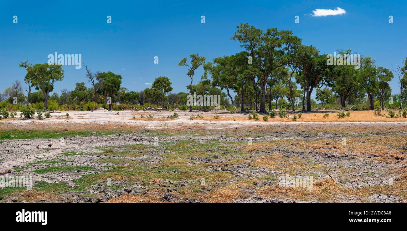 Dried out riverbed and landscape, drought, heat, dryness, climate ...
