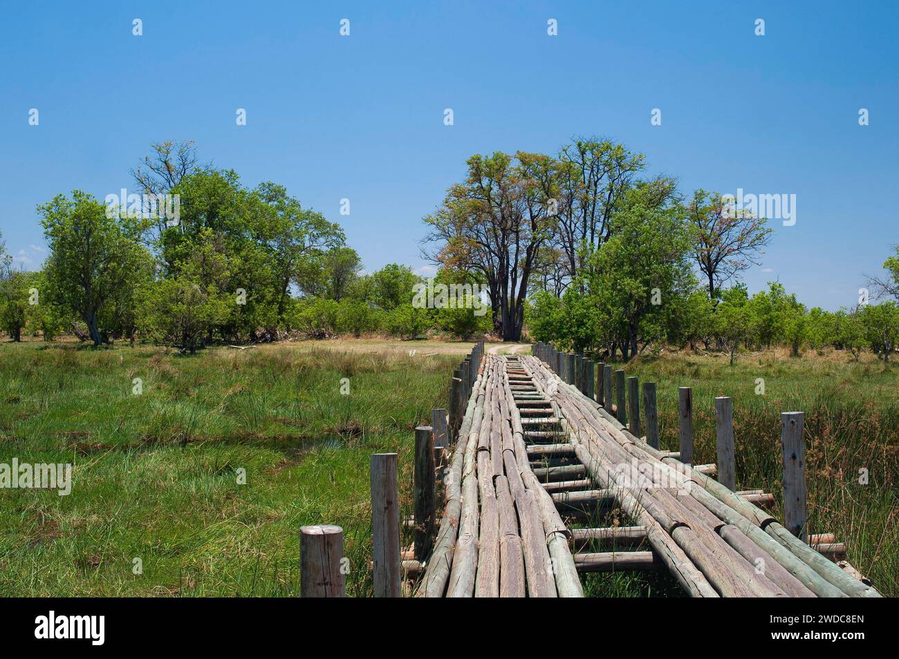 Fourth bridge, bridge, wooden bridge, adventure, safari, journey, form ...