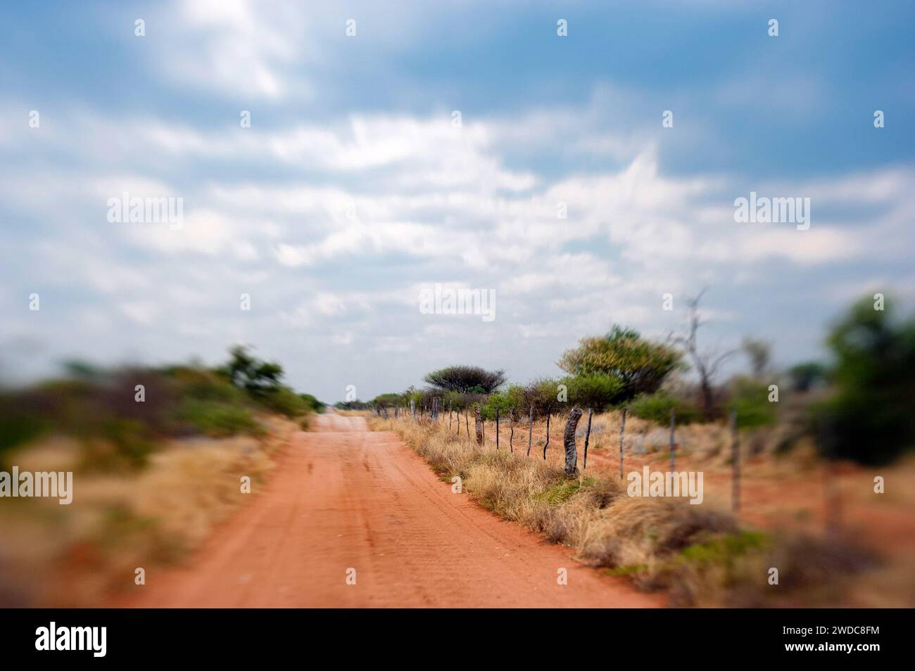 Sand track with red earth, analogue, blurred, blurred, road trip ...