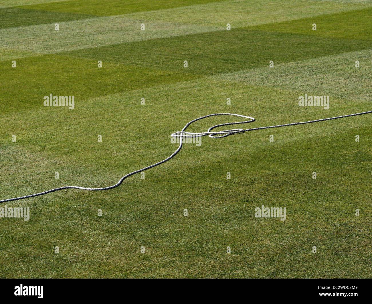 Mown grass with clean white lines creating a simple, calming pattern ...